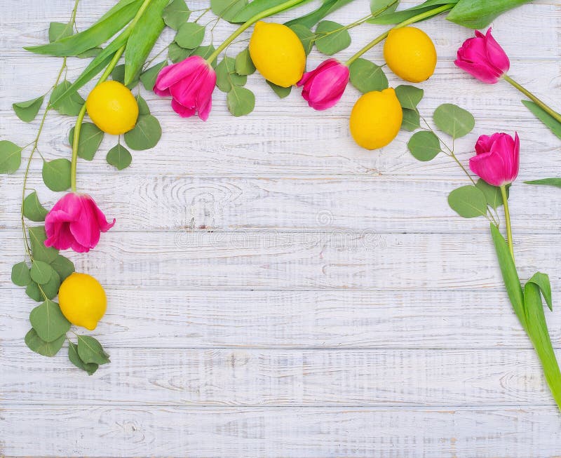 Marco Decorativo De La Primavera Imagen de archivo - Imagen de floral ...