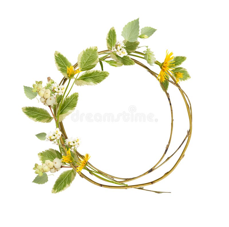 Marco Del Círculo De Ramas Y De Flores Imagen de archivo - Imagen de ...