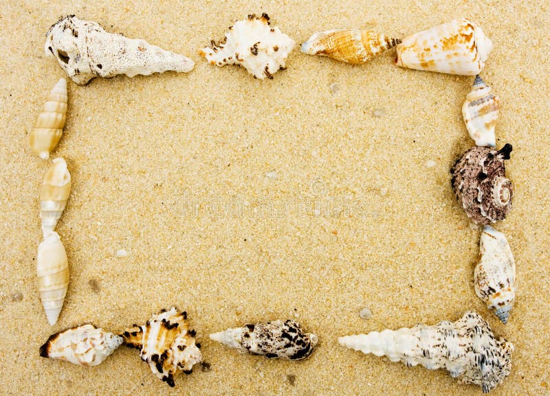 Marco del shell foto de archivo. Imagen de fondo, porciones - 13118522