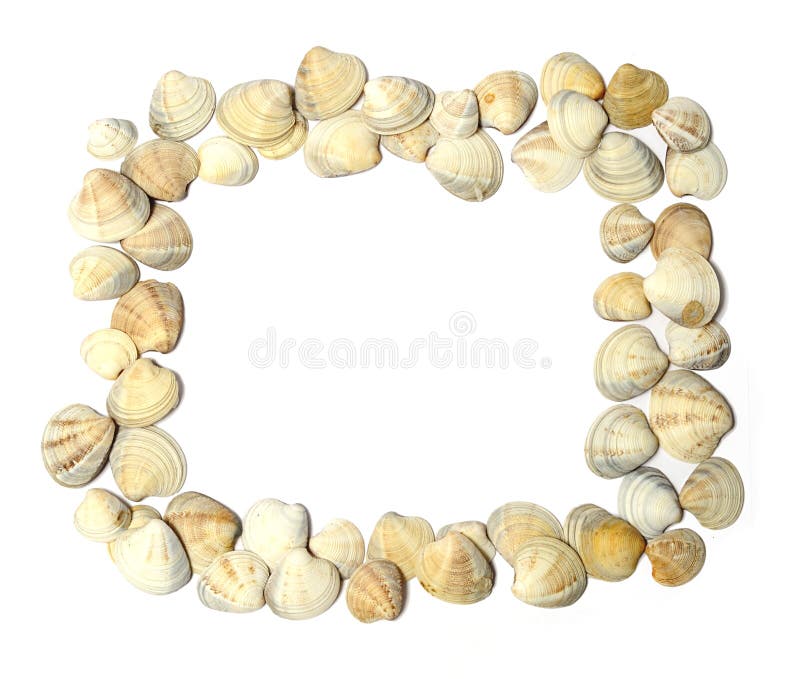 Marco del shell foto de archivo. Imagen de aislado, coastline - 14475566