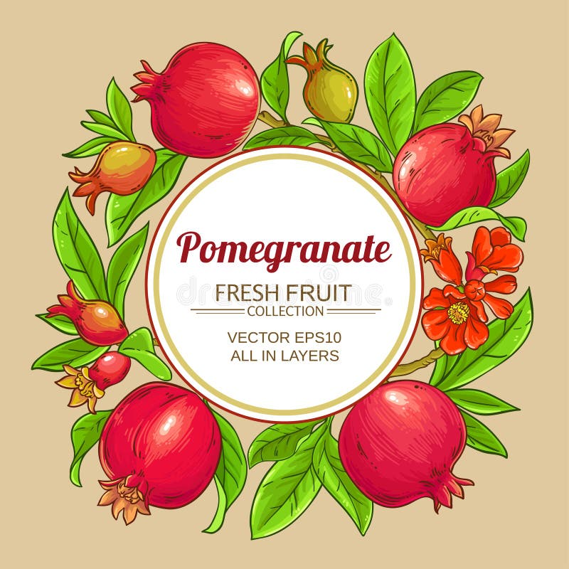 Marco Del Vector De La Granada Ilustración del Vector - Ilustración de ...