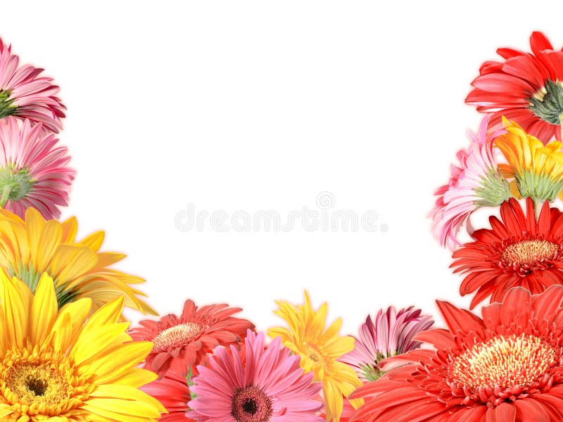 Marco Floral Con Las Flores Multicolores Foto de archivo - Imagen de ...