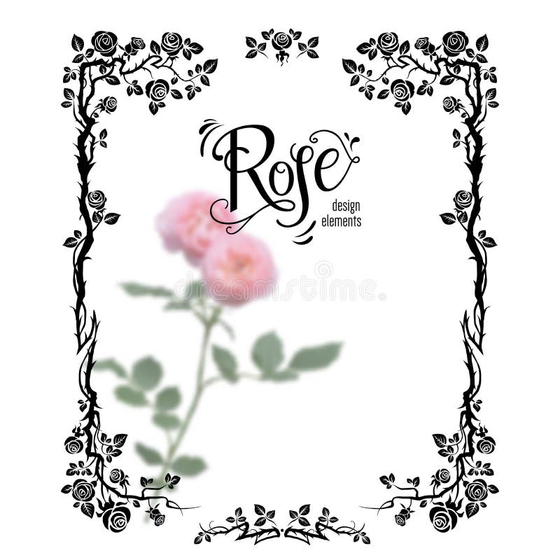 Marco floral de Rose ilustración del vector. Ilustración de espina ...