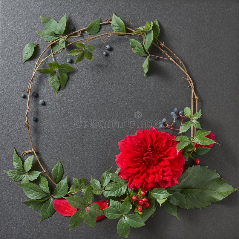 Marco Redondo De Ramas Y De La Flor Foto de archivo - Imagen de planta ...