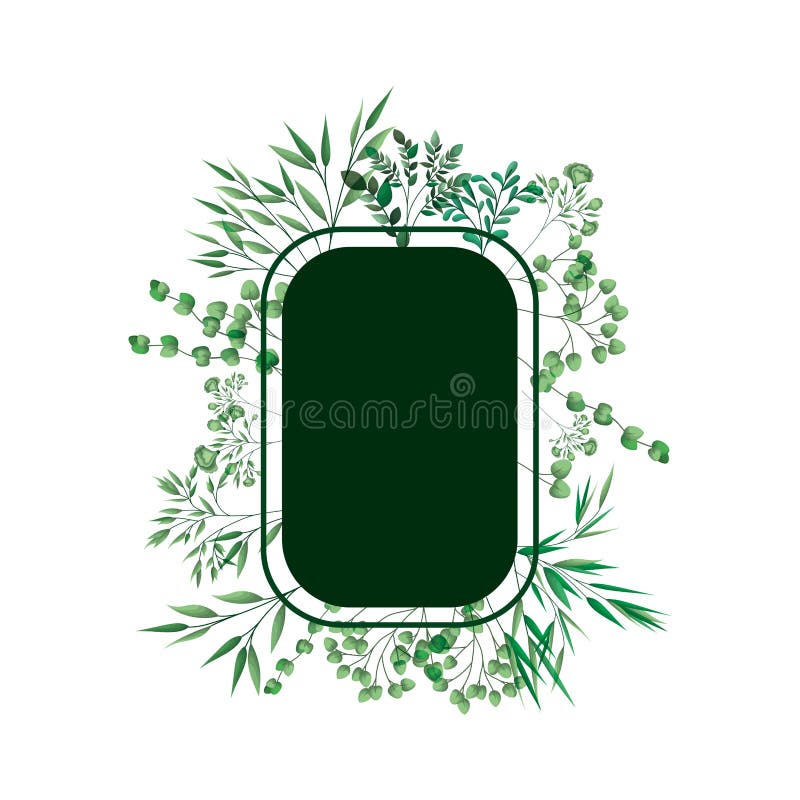 Marco Verde Con Las Ramas Y Las Hojas Ilustración del Vector ...