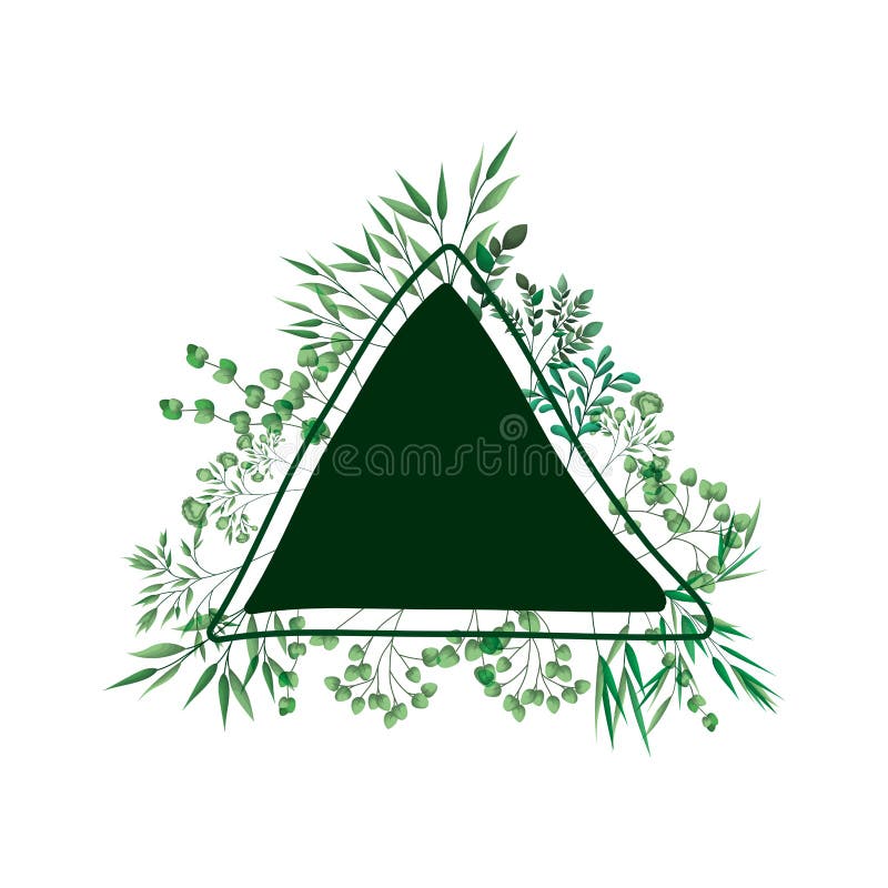 Marco Verde Con Las Ramas Y Las Hojas Ilustración del Vector ...