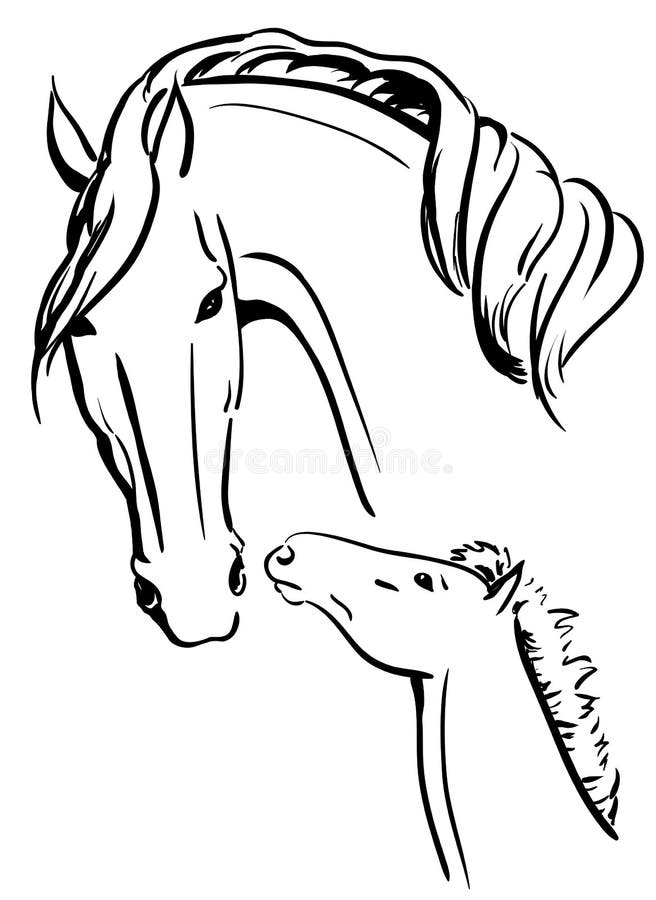 Mare and foal stylized stock vector. Illustration of animals - 33970712 Mare and foal stylized stock vector. Illustration of animals - 33970712