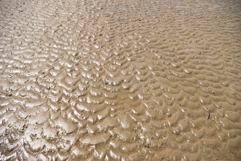 Marea muerta imagen de archivo. Imagen de viaje, tailandia - 14831603