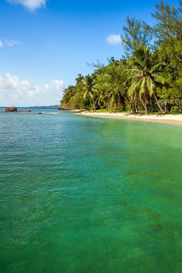 Marea tropical imagen de archivo. Imagen de exterior - 156785947