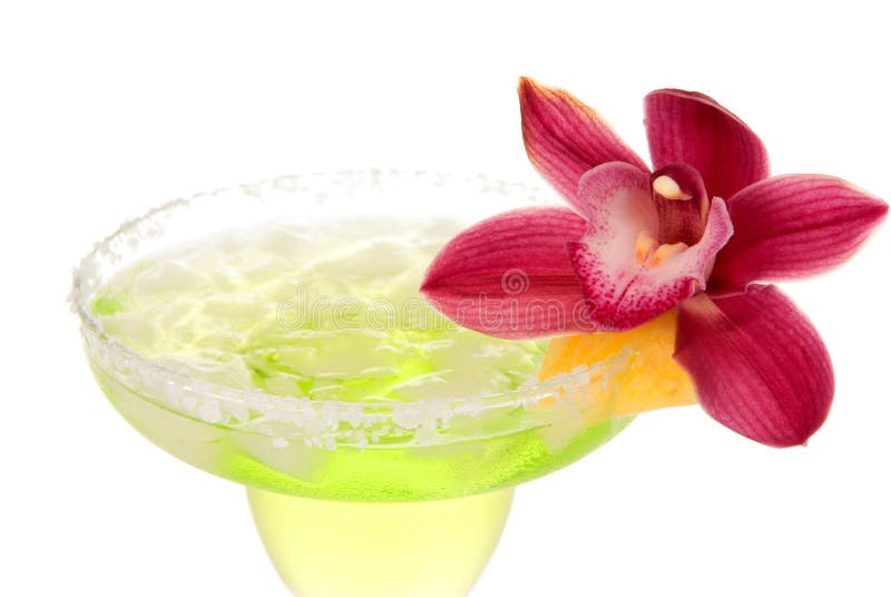 842 Orchid Garnish Stock Photos - Free & Royalty-Free Stock Photos from ...