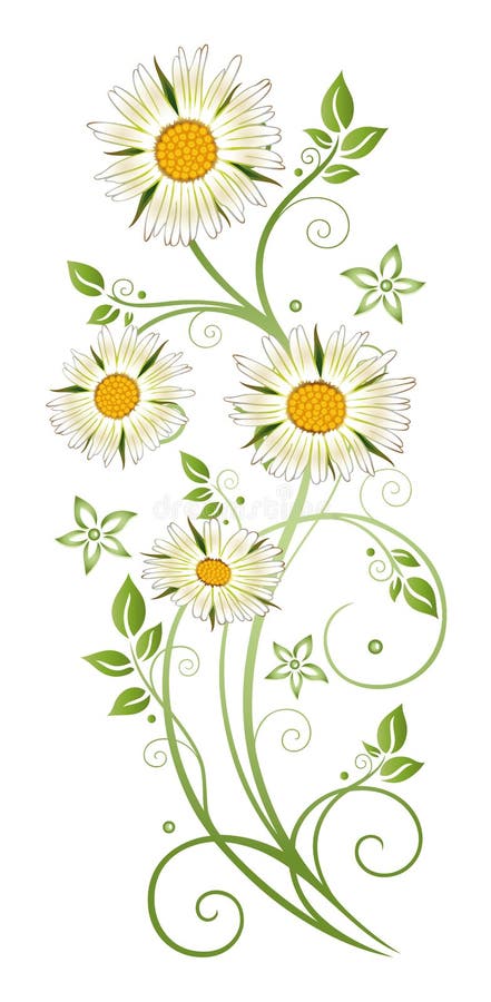 Marguerite daisy stock vector. Illustration of decoration - 38463916