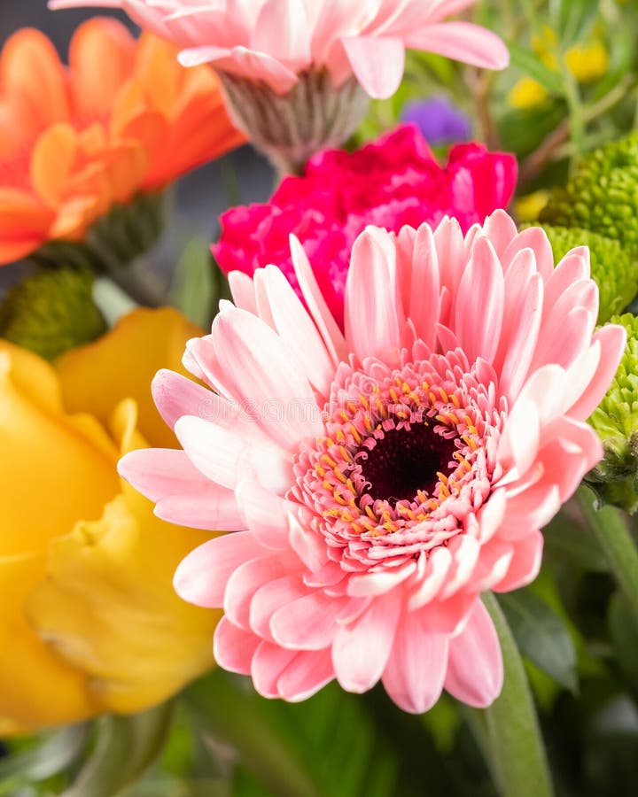 Bouquet De Marguerite De Gerbera Image stock - Image du jaune ...