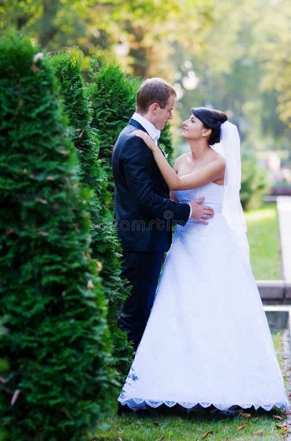 Mariée et marié image stock. Image du toilettez, beauté - 11222283