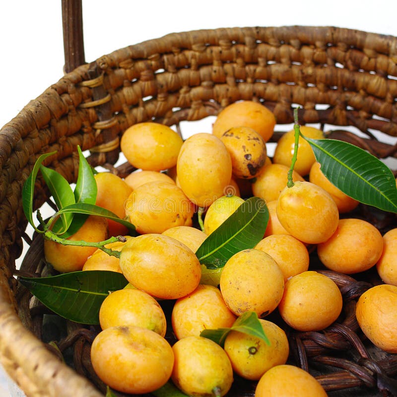 Exotic Thai Fruit, Marian Plum Stock Photo - Image of nutrients ...