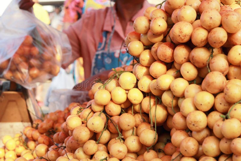 Marian Plum Fruit - Asia Fruit Stock Photo - Image of juicy, asia: 40577844