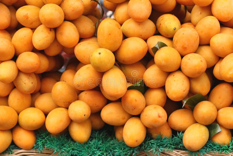 Marian Plum Fruit - Asia Fruit Stock Image - Image of vegetarian ...