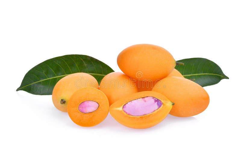 Marian Plum Fruit with Leaves Isolated on White Stock Image - Image of ...