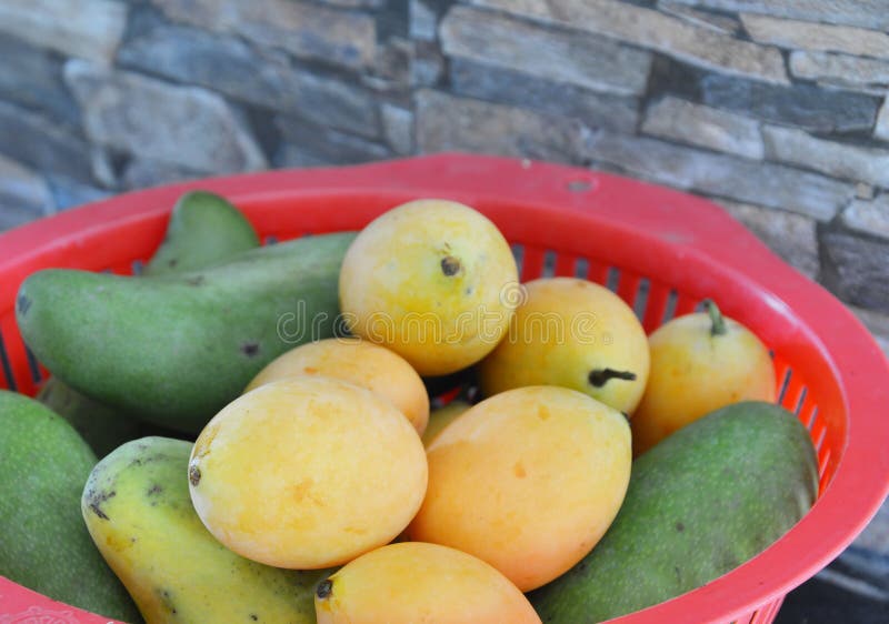 Het Tropische Fruit Van De Pruimmango in Stroop Met Ijskoud Dessert Op ...