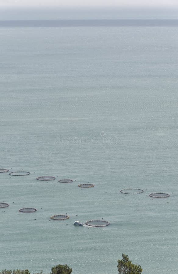 Mariculture in the Mediterranean Sea Stock Image - Image of farming ...