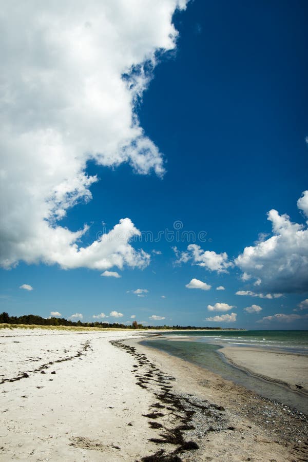 Marielyst beach in Denmark stock photo. Image of beach - 73783122