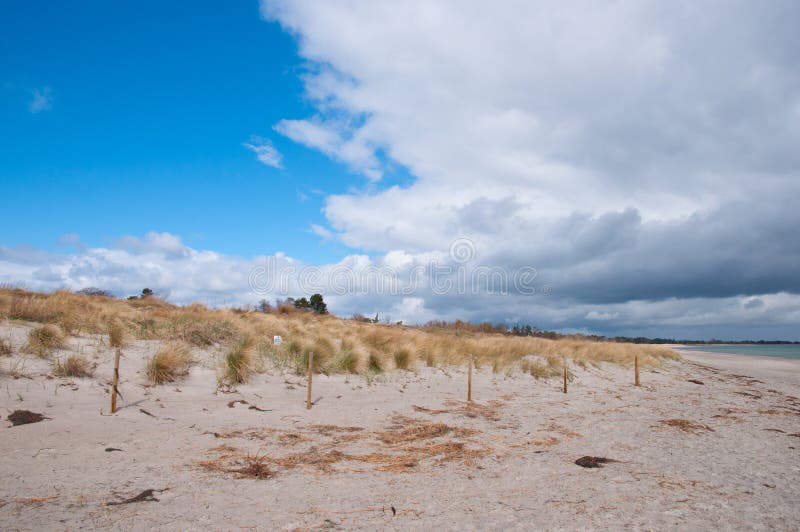 Marielyst beach in Denmark stock image. Image of denmark - 99780403