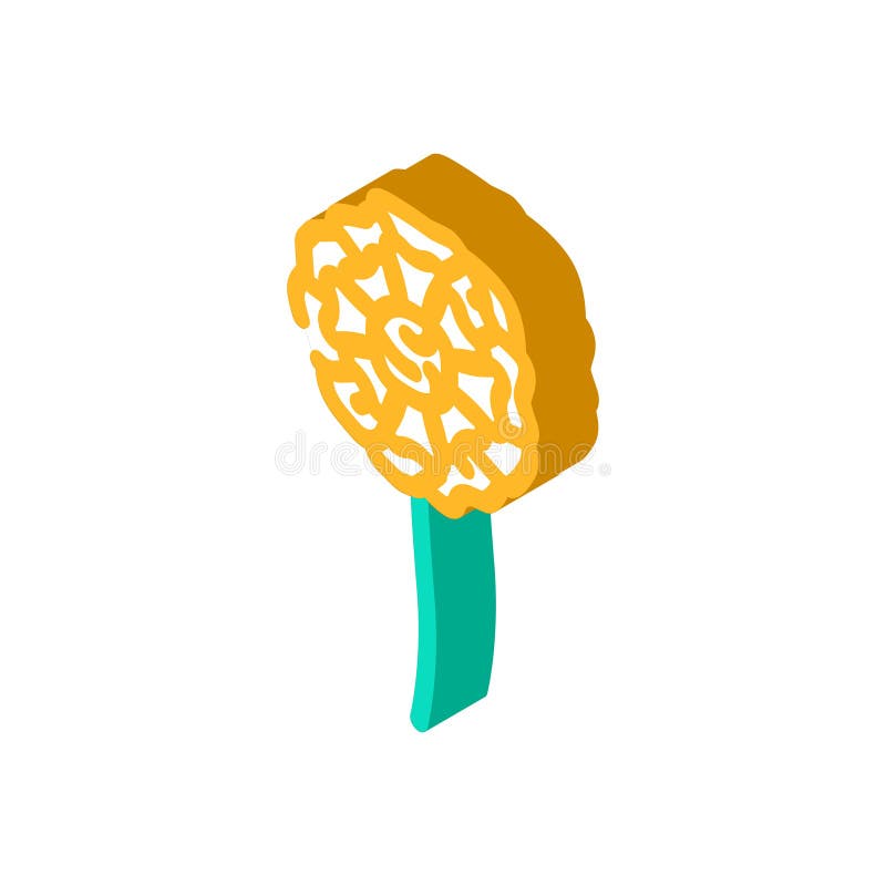 Marigold Blossom Spring Isometric Icon Vector Illustration Stock ...