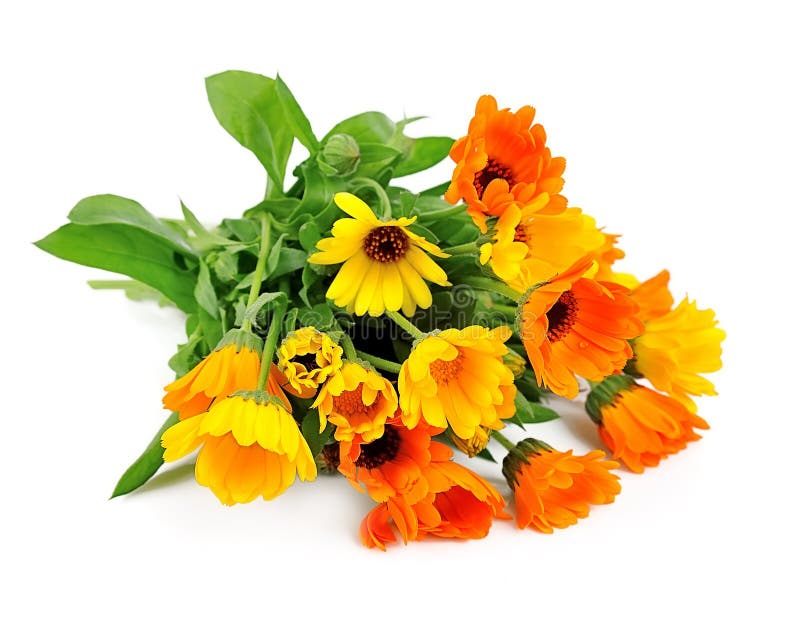 Marigold Flower Rangoli Design for Diwali Festival , Indian Festival ...