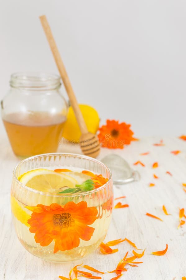 Marigold Flower Herbal Tea with Lemon Slices Stock Image - Image of ...