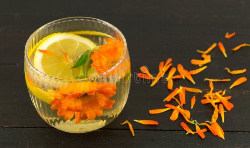 Marigold Flower Herbal Tea with Lemon Slices Stock Image - Image of ...