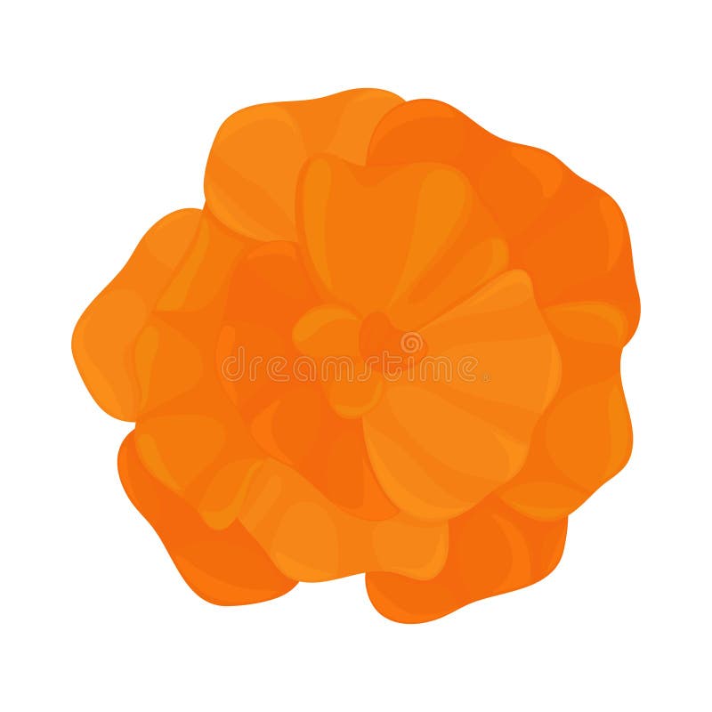 Marigold Icon Stock Illustrations – 941 Marigold Icon Stock ...