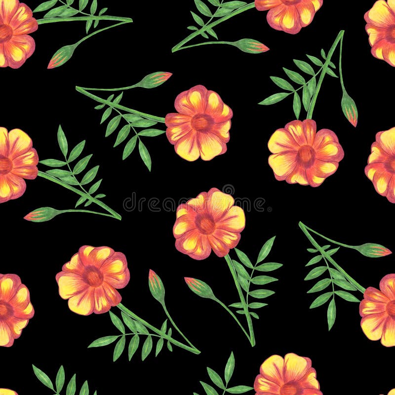 Marigold Flower Seamless Pattern. Floral Digital Paper. Stock Photo ...