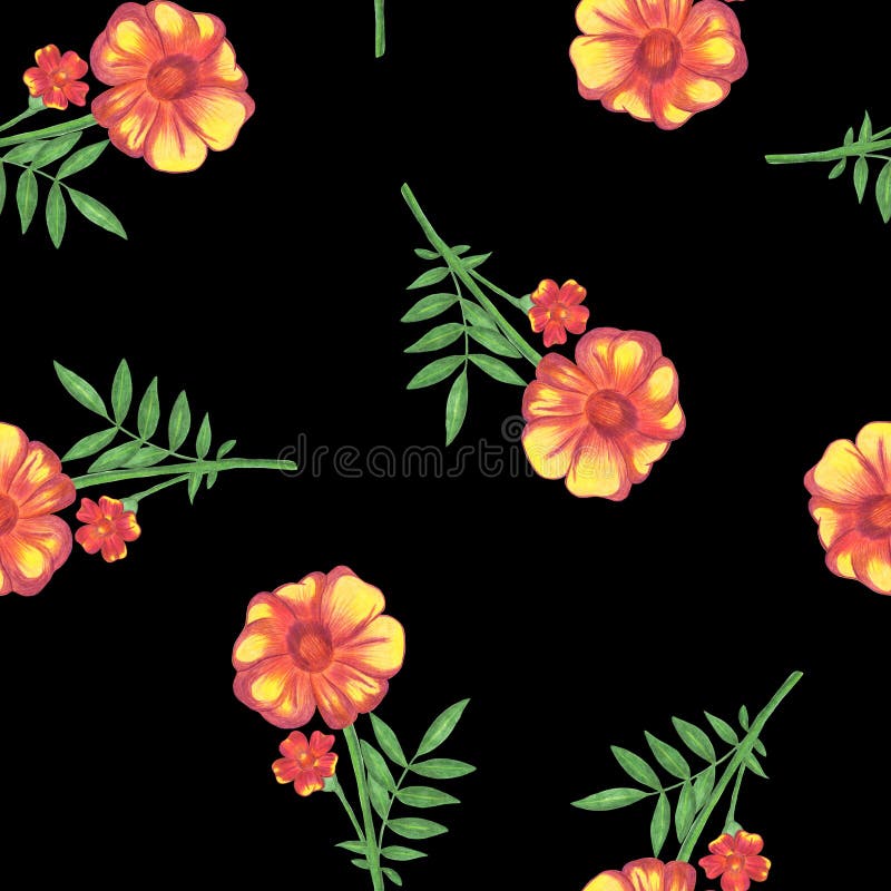 Marigold Flower Seamless Pattern. Floral Digital Paper. Stock ...