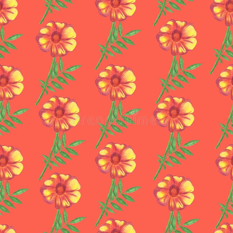 Marigold Flower Seamless Pattern. Floral Digital Paper. Stock ...