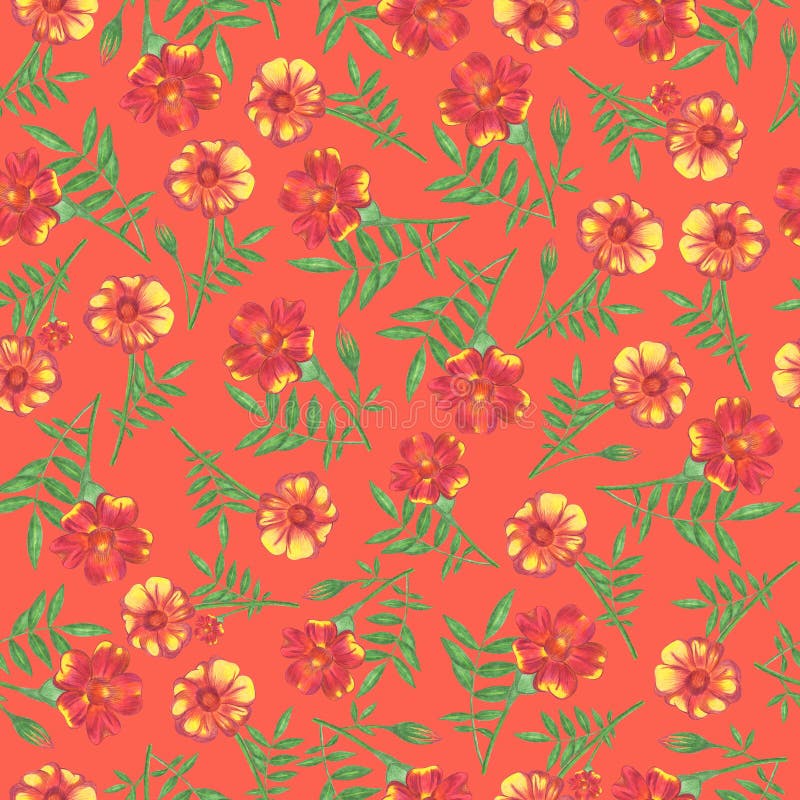 Marigold Flower Seamless Pattern. Floral Digital Paper. Stock Image ...