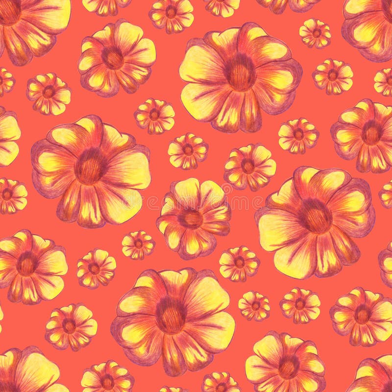 Marigold Flower Seamless Pattern. Floral Digital Paper. Stock Image ...