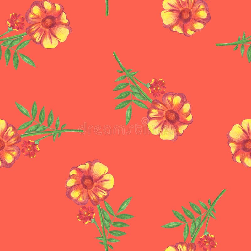 Marigold Flower Seamless Pattern. Floral Digital Paper. Stock ...