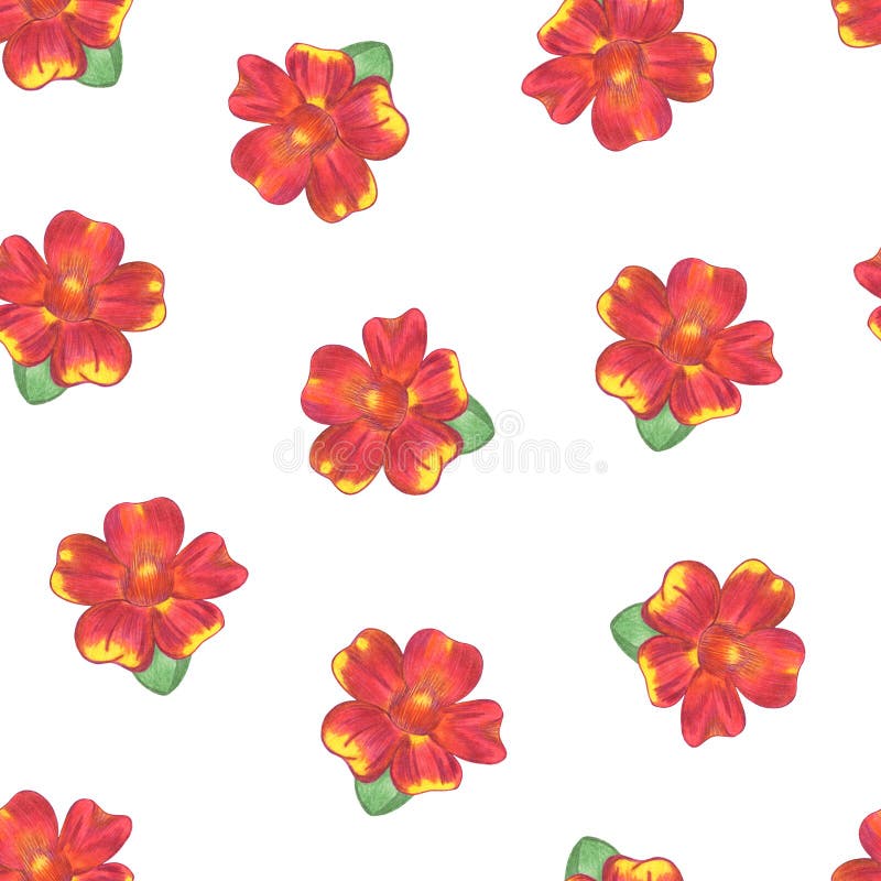 Marigold Flower Seamless Pattern. Floral Digital Paper. Stock ...