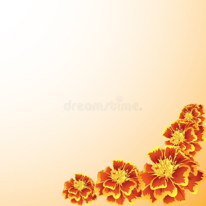 20+ Marigold frame Free Stock Photos - StockFreeImages