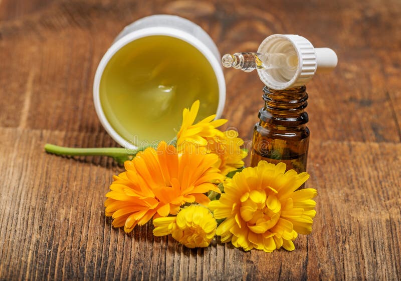 Marigold herbal extract stock image. Image of health - 74008915