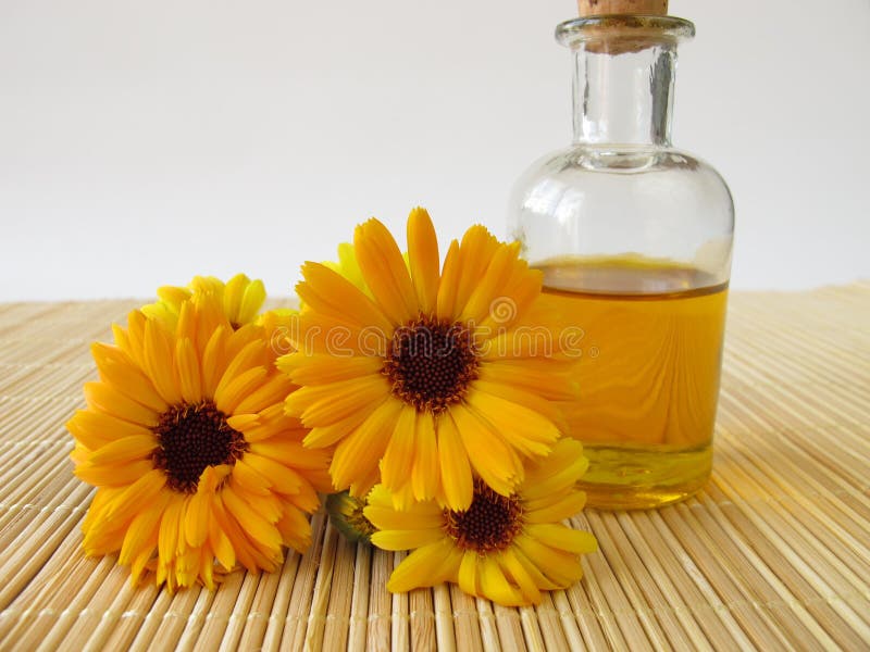 Marigold oil stock photo. Image of wellness, flowers - 32654844