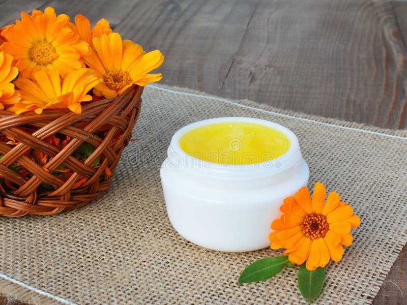 Marigold ointment stock photo. Image of lotion, creams - 42708844