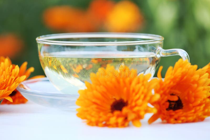 Tea marigold stock photo. Image of marigold, glass, herbal - 10274670