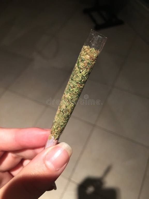 Weed stock photo. Image of weed, chilling, chill, marihuana - 130203354