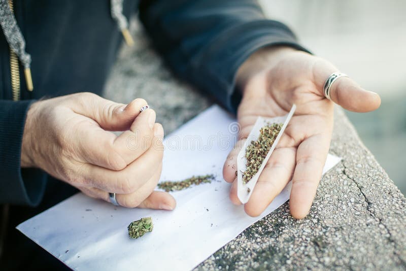 Marihuana Set. Preparing Marihuana Drug Cigar Stock Photo - Image of ... Marihuana Set. Preparing Marihuana Drug Cigar Stock Photo - Image of ...