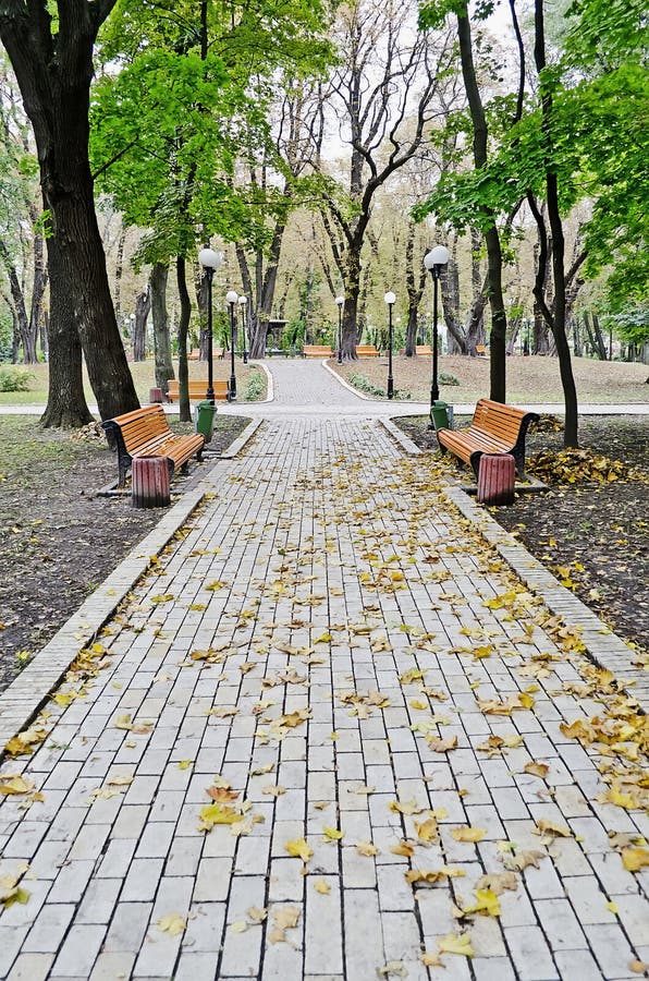 Mariinsky Park in Kiev stock image. Image of rural, nature - 35055347