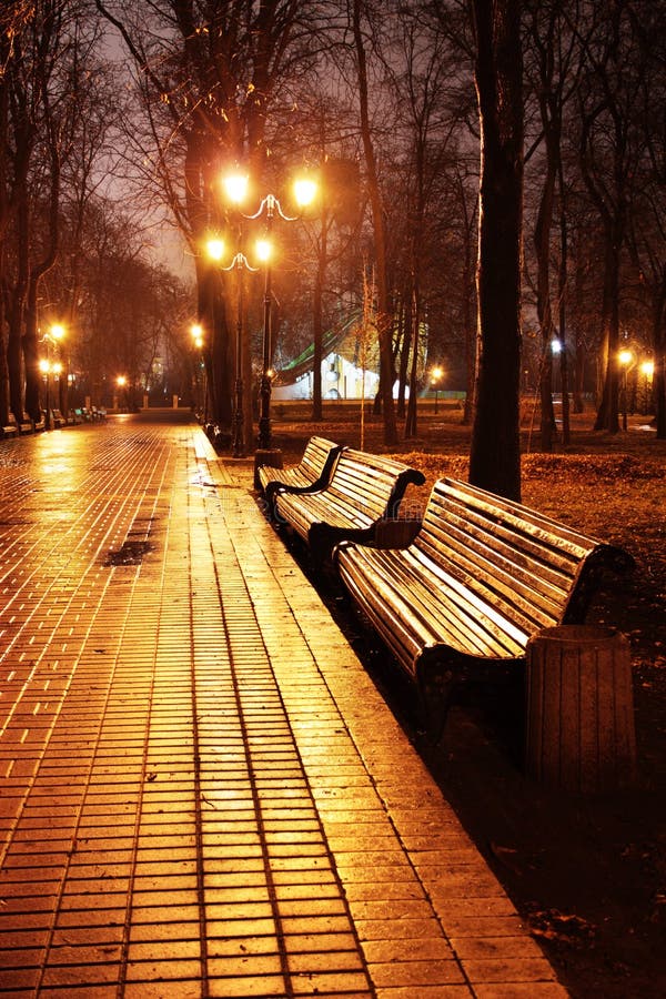 Walk in park at night stock photo. Image of darkness, evening - 3441894