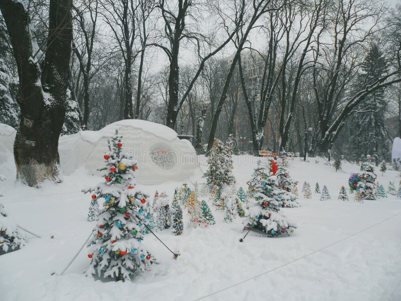 Mariinsky Park in Winter, Kiev Stock Image - Image of conifer, nature ...