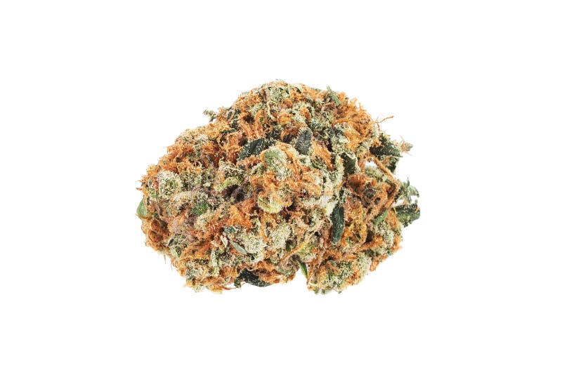 Marijuana Bud Isolated on White Background Stock Photo - Image of macro ...