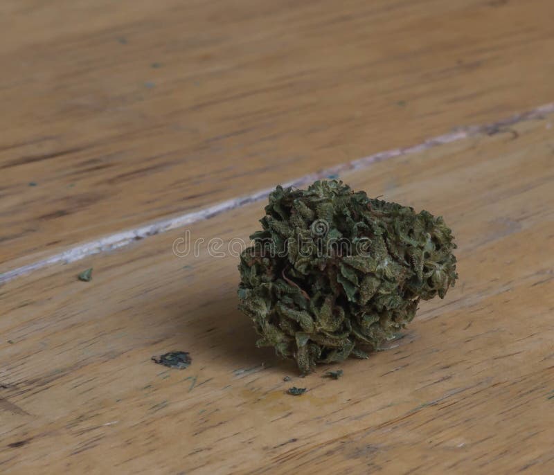 Marijuana bud stock photo. Image of drugs, drug, herb - 53754582