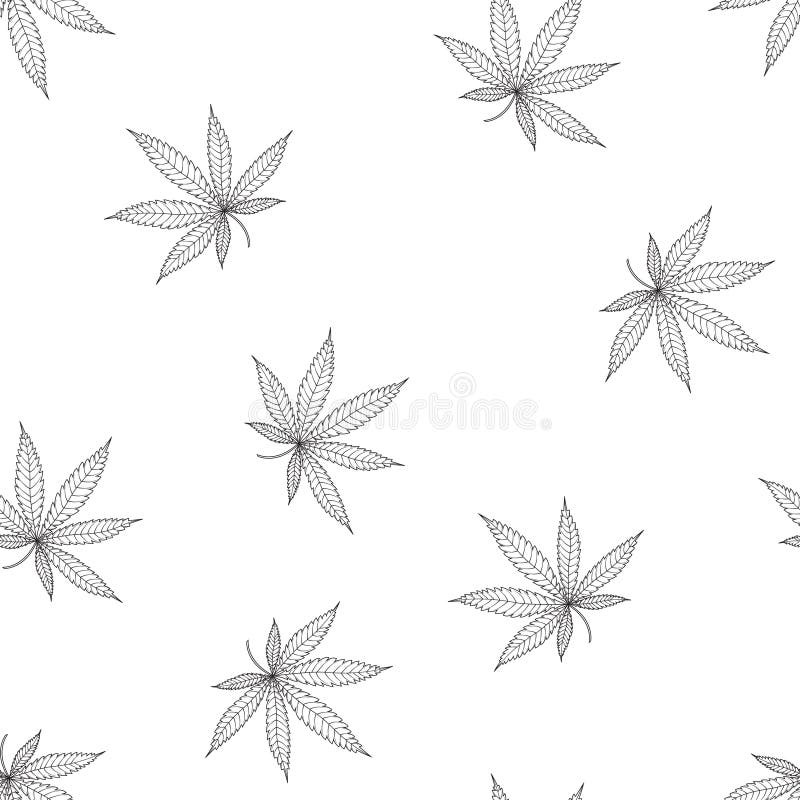Marijuana or Cannabis Leaves Seamless Pattern. Hemp Vector Leaf ...